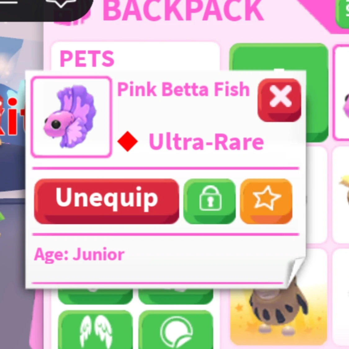 Rosa Adopt Me Betta Fish Söker Hem