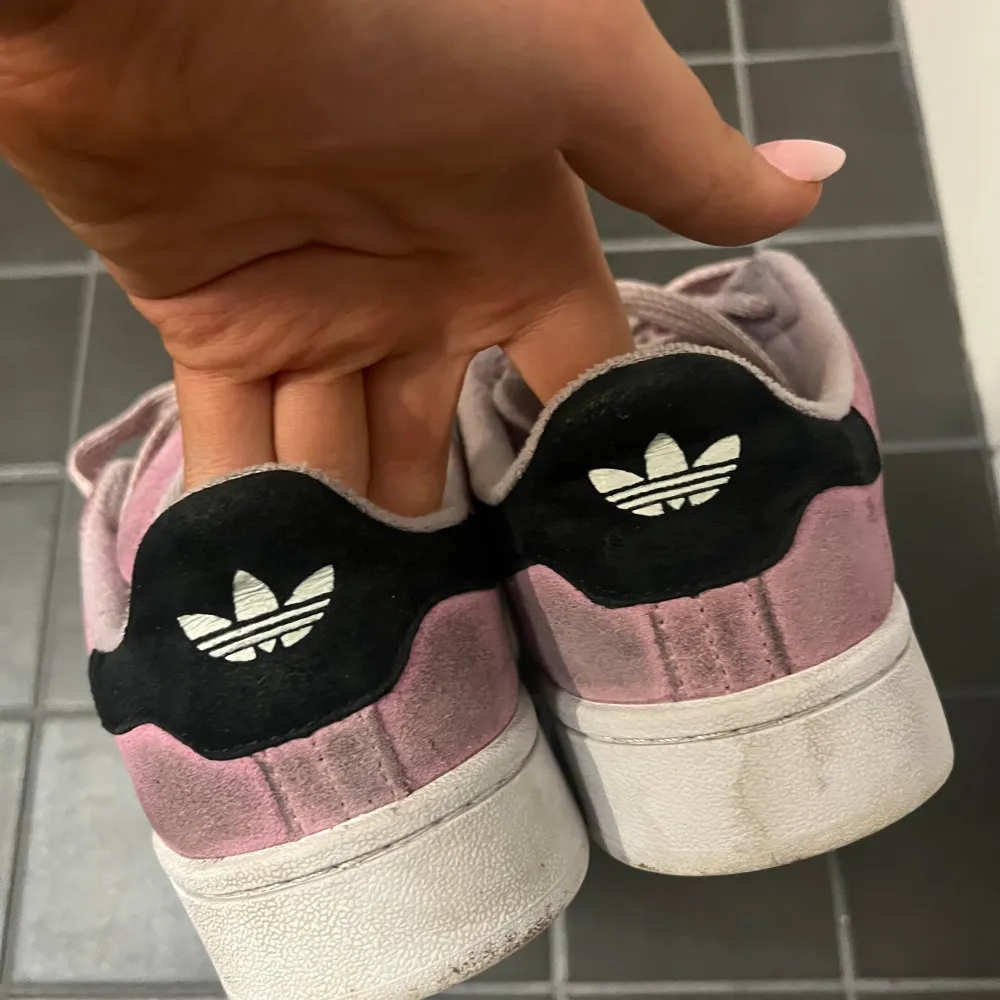 Rosa Adidas Campus | Skor