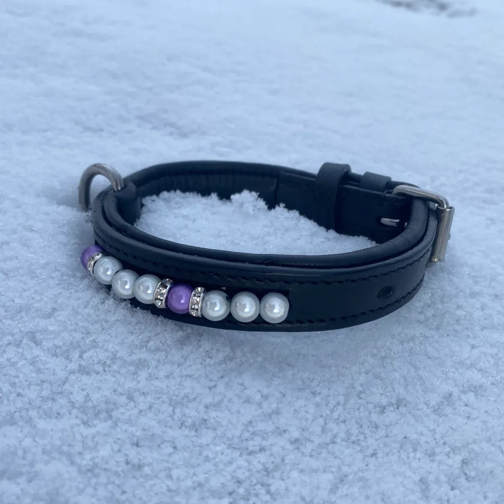 Hundhalsband/Hästpanband | Accessoarer